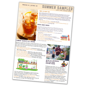 Discover more with the Summer Sampler | Find It @ Sewickley Public Library